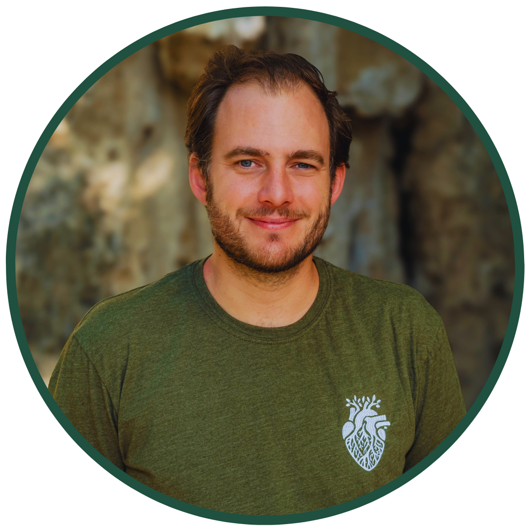 reforestacion interior – Formación de Facilitadores de Terapias de ...